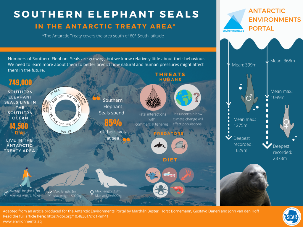 Southern elephant seals (Mirounga leonina L.) in the Antarctic Treaty ...